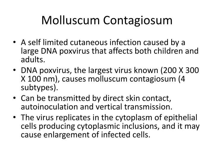 PPT - Molluscum Contagiosum PowerPoint Presentation - ID:1912202
