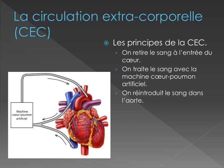 PPT - Le cœur-poumon artificiel PowerPoint Presentation - ID:1913131