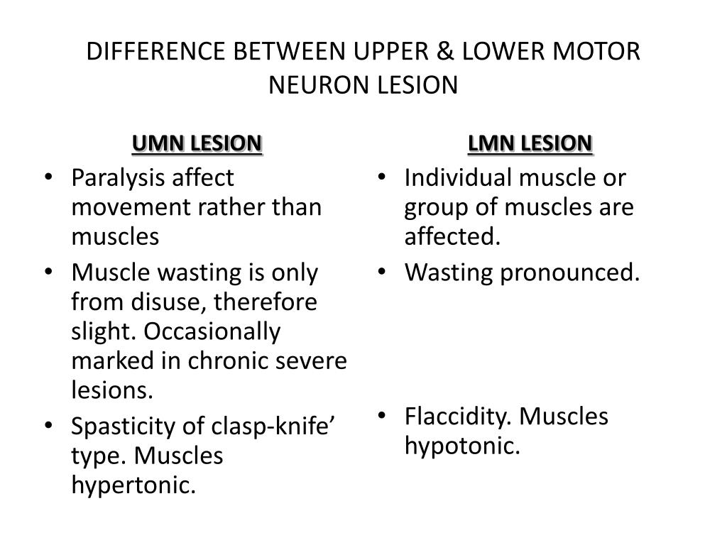 Lesion In Upper Motor Neuron at Maria Cardenas blog Lesion In Upper Motor Neuron at Maria Cardenas blog