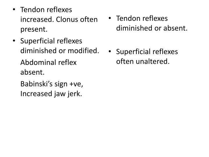 PPT - EXTRAPYRAMIDAL TRACTS & MOTOR NEURON LESIONS PowerPoint ...