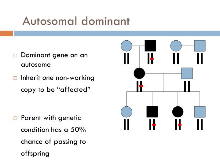 PPT - Genetic Conditions and Birth Defects PowerPoint Presentation - ID ...