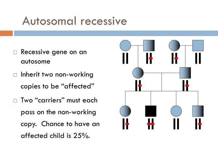 PPT - Genetic Conditions and Birth Defects PowerPoint Presentation - ID ...
