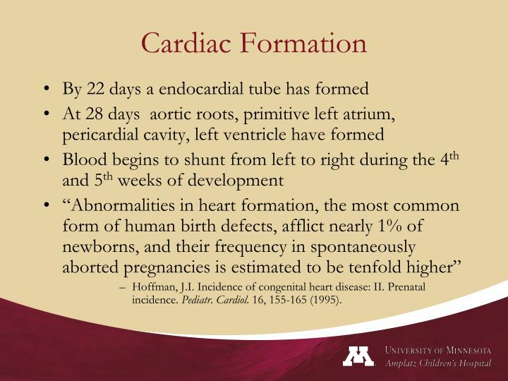 PPT - Neonatal Physiology PowerPoint Presentation - ID:1914819
