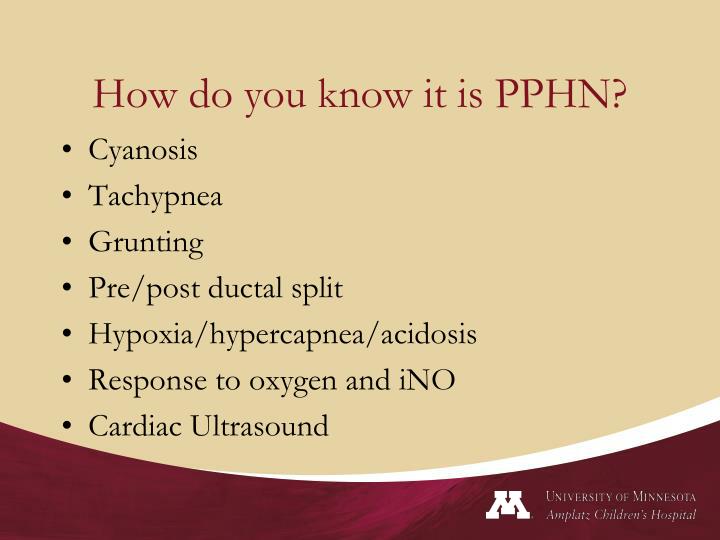 PPT - Neonatal Physiology PowerPoint Presentation - ID:1914819
