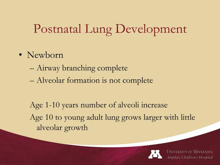 PPT - Neonatal Physiology PowerPoint Presentation - ID:1914819