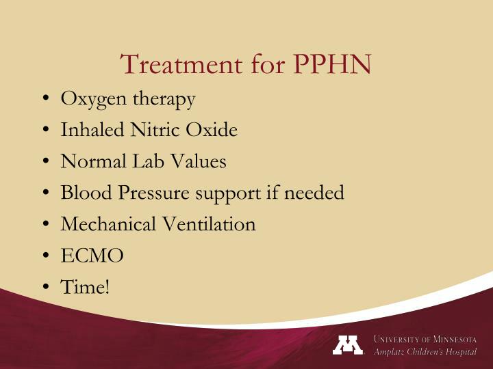 PPT - Neonatal Physiology PowerPoint Presentation - ID:1914819