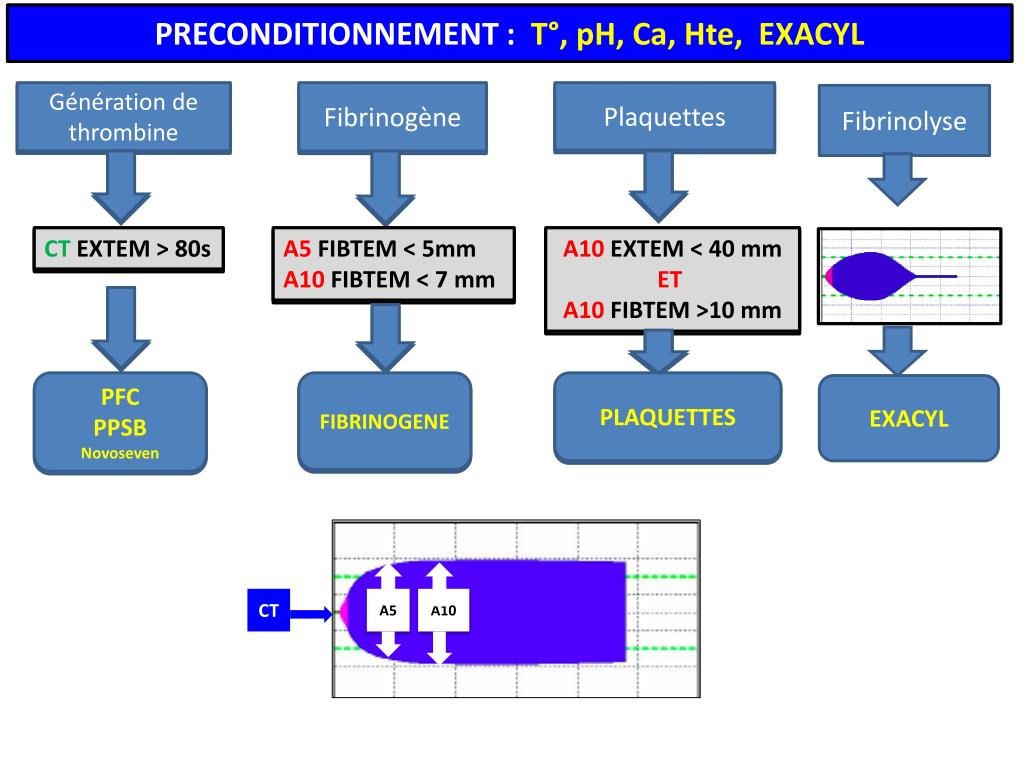 PPT - PRECONDITIONNEMENT : T°, pH, Ca, Hte , EXACYL PowerPoint ...