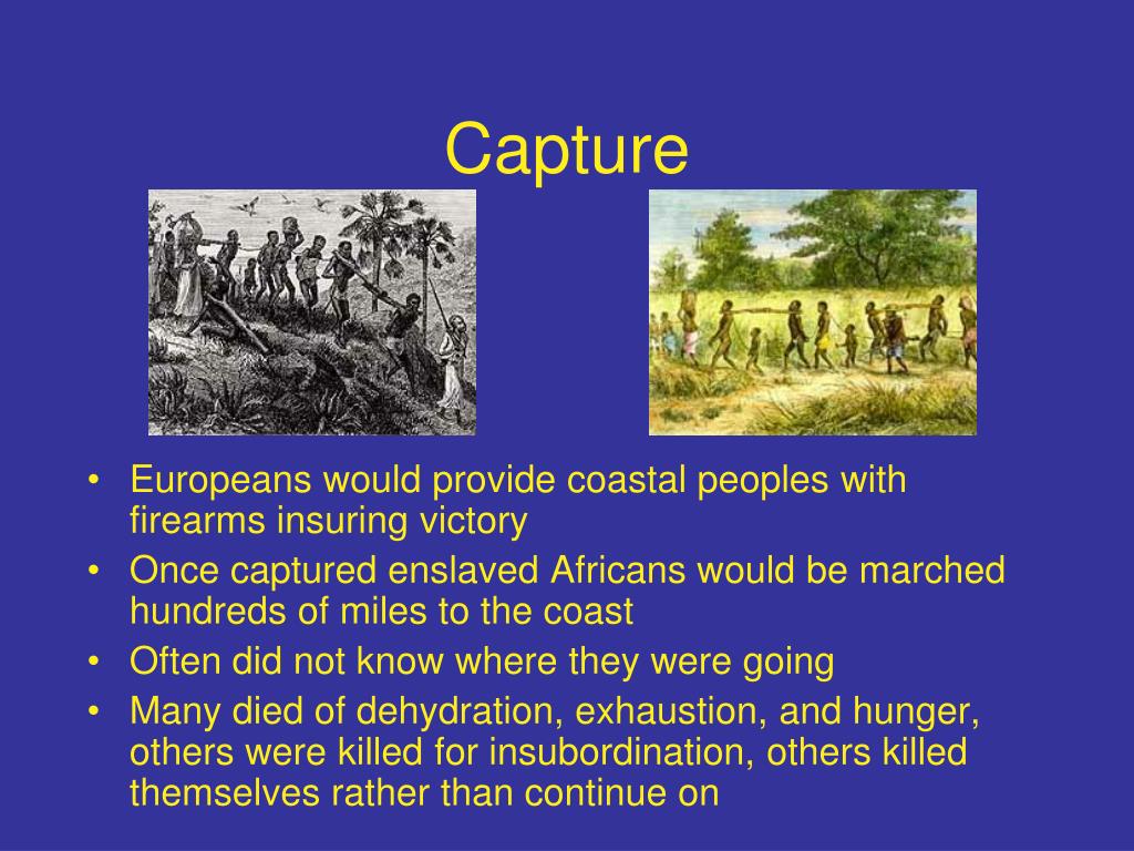 PPT - Origins of Slavery in the Americas PowerPoint Presentation, free ...
