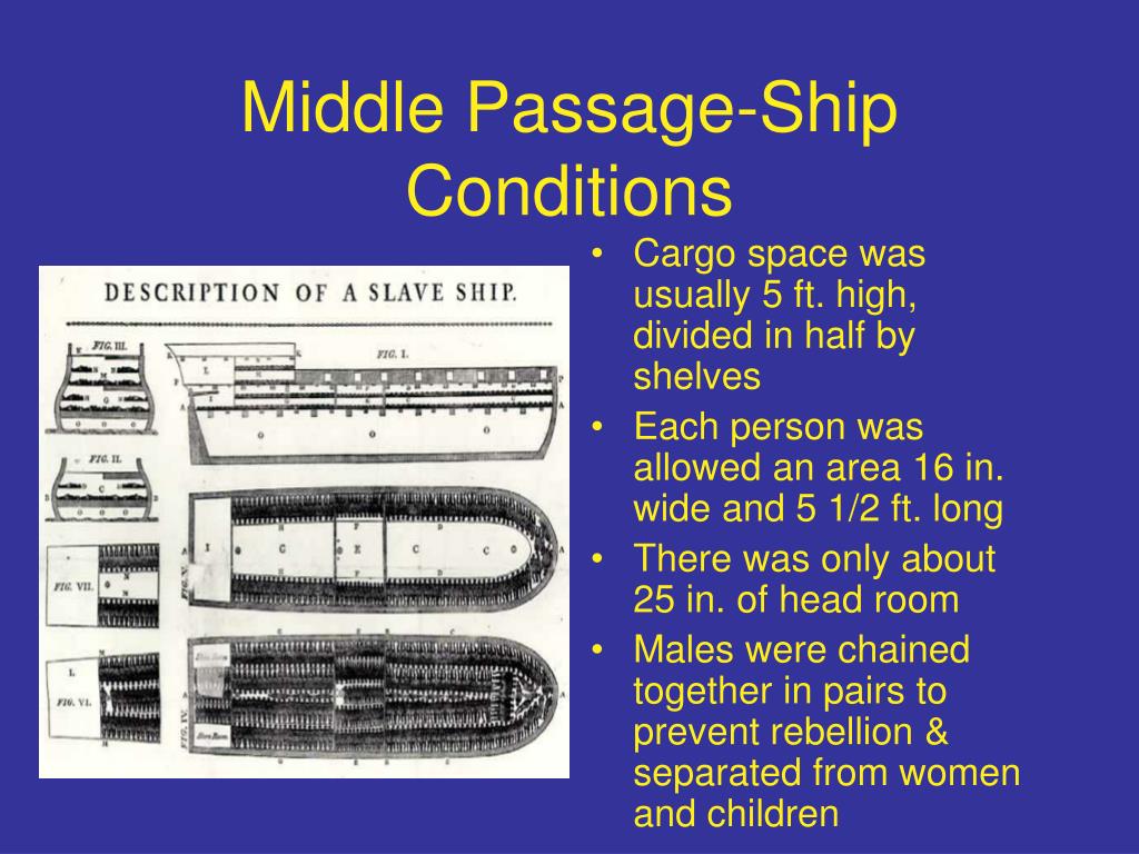 PPT - Origins of Slavery in the Americas PowerPoint Presentation, free ...