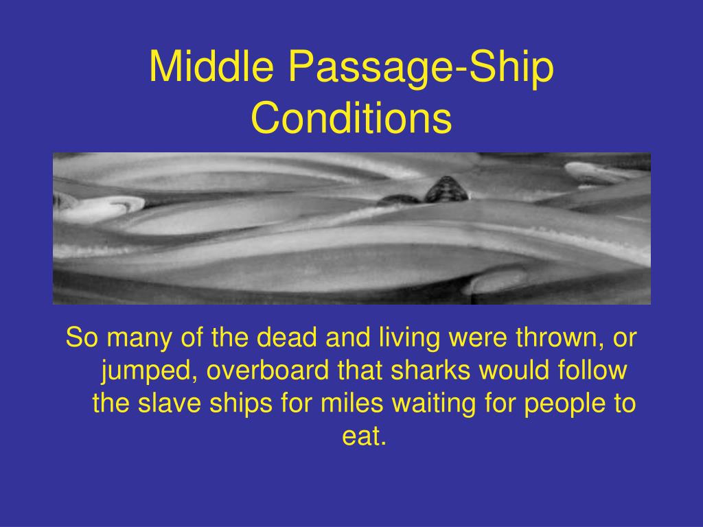PPT - Origins of Slavery in the Americas PowerPoint Presentation, free ...
