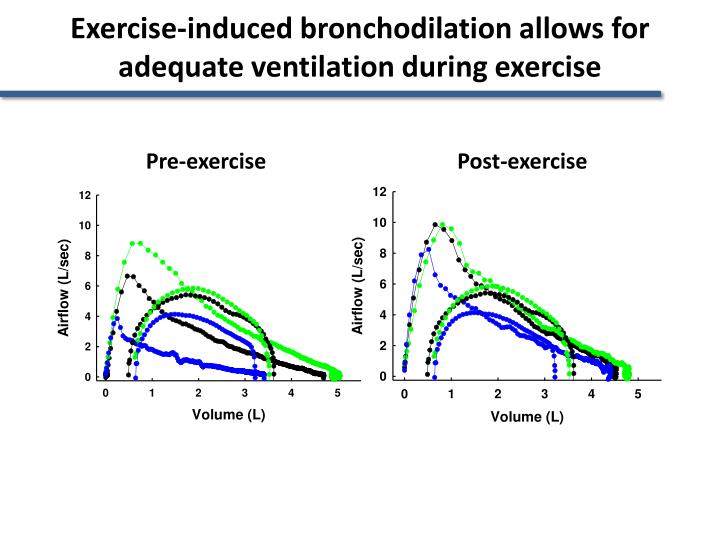 PPT - Lung Mechanical Control of Airway Function During Exercise in the ...
