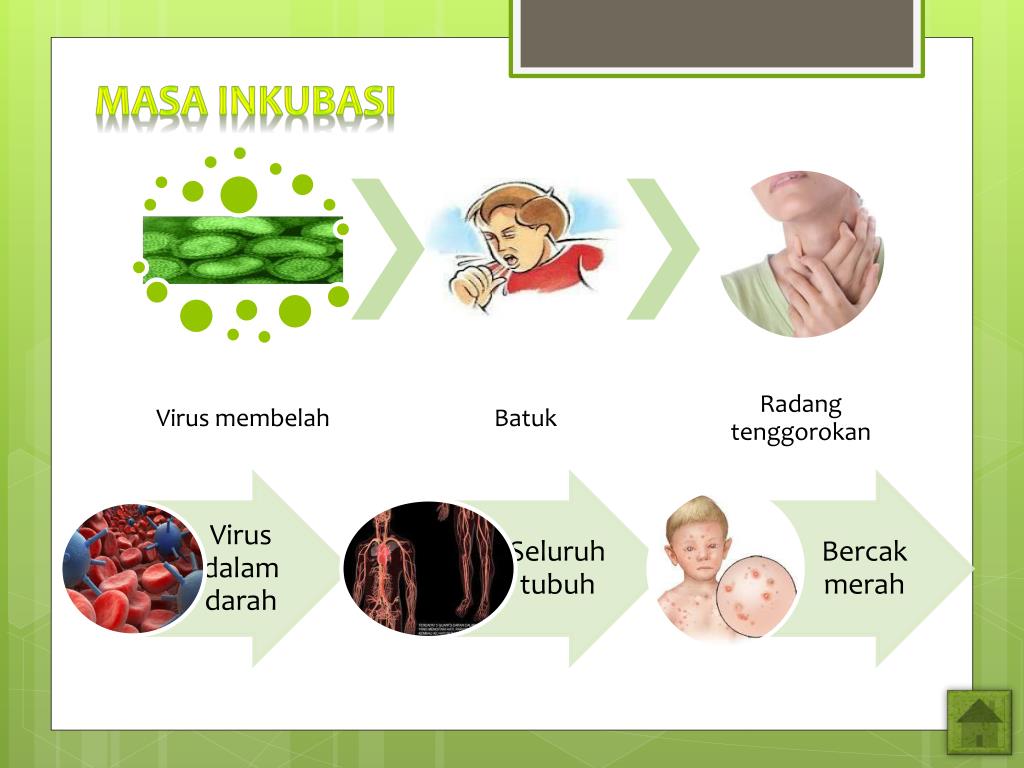 PPT - PENYAKIT PADA MANUSIA YANG DISEBABKAN OLEH VIRUS PowerPoint ...