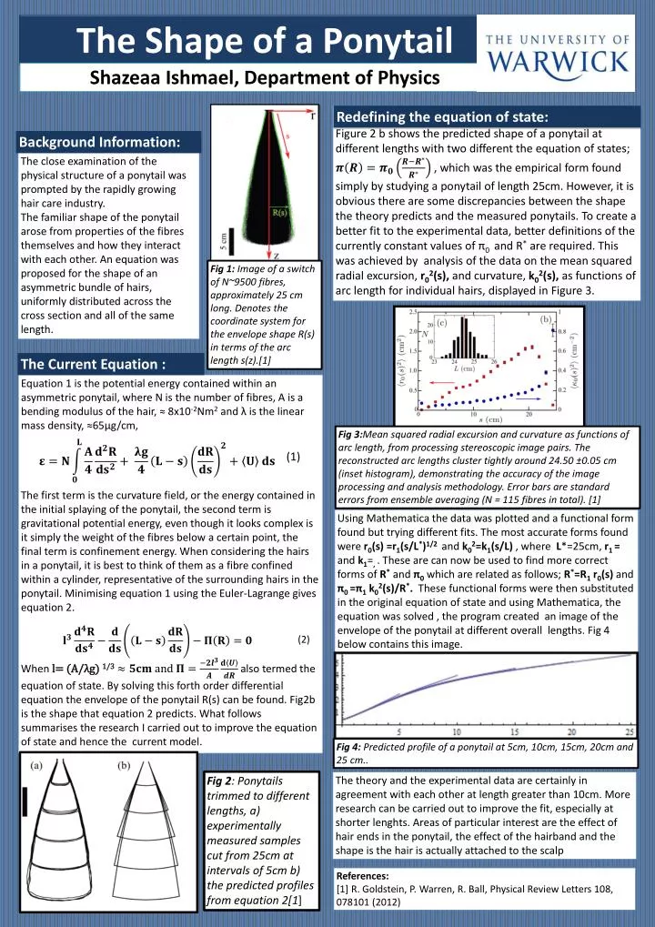 PPT - The Shape of a Ponytail PowerPoint Presentation, free download ...