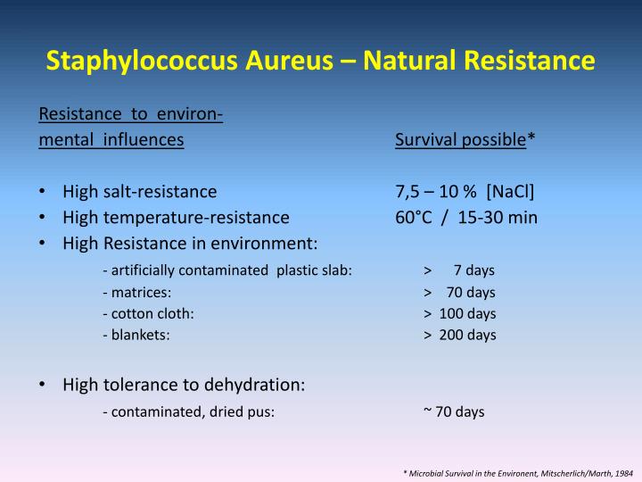 PPT - MRSA – Methicillin resistant Staphylococcus Aureus – PowerPoint ...