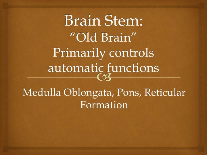 PPT - Anatomy and Functions of the Brain PowerPoint Presentation - ID ...