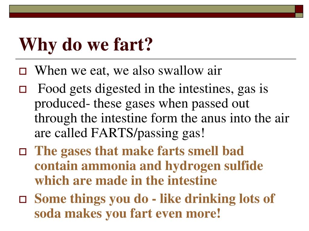 PPT - All About Poop scatology ( skuh-TOL-uh-jee ) noun : the ...