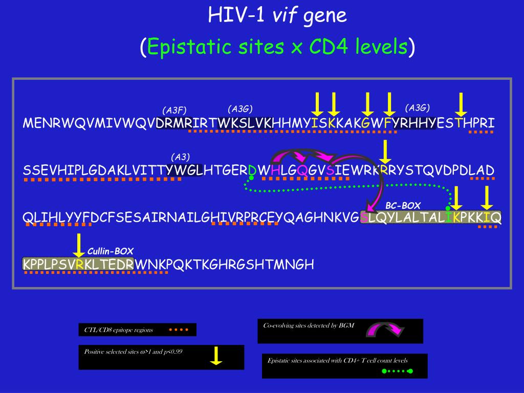 PPT - THLBA105 PowerPoint Presentation, free download - ID:1916555
