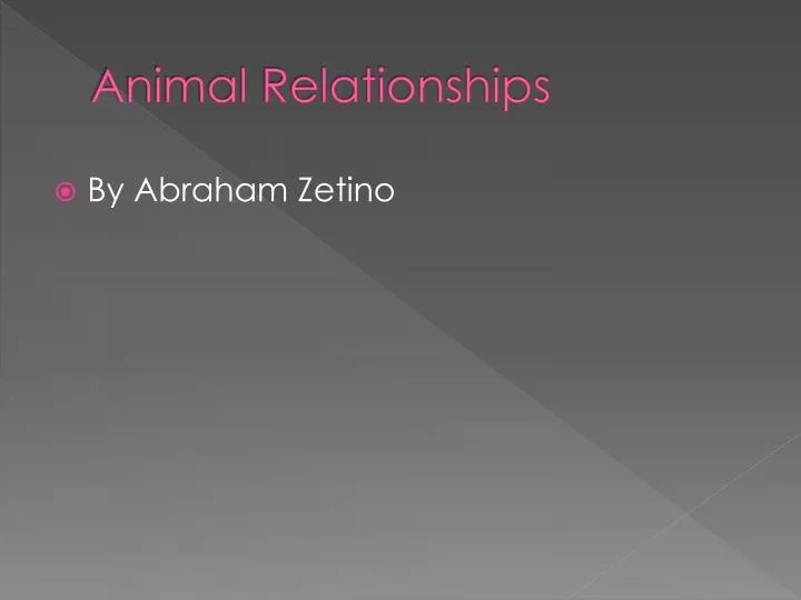 PPT - Animal Relationships PowerPoint Presentation, free download - ID ...