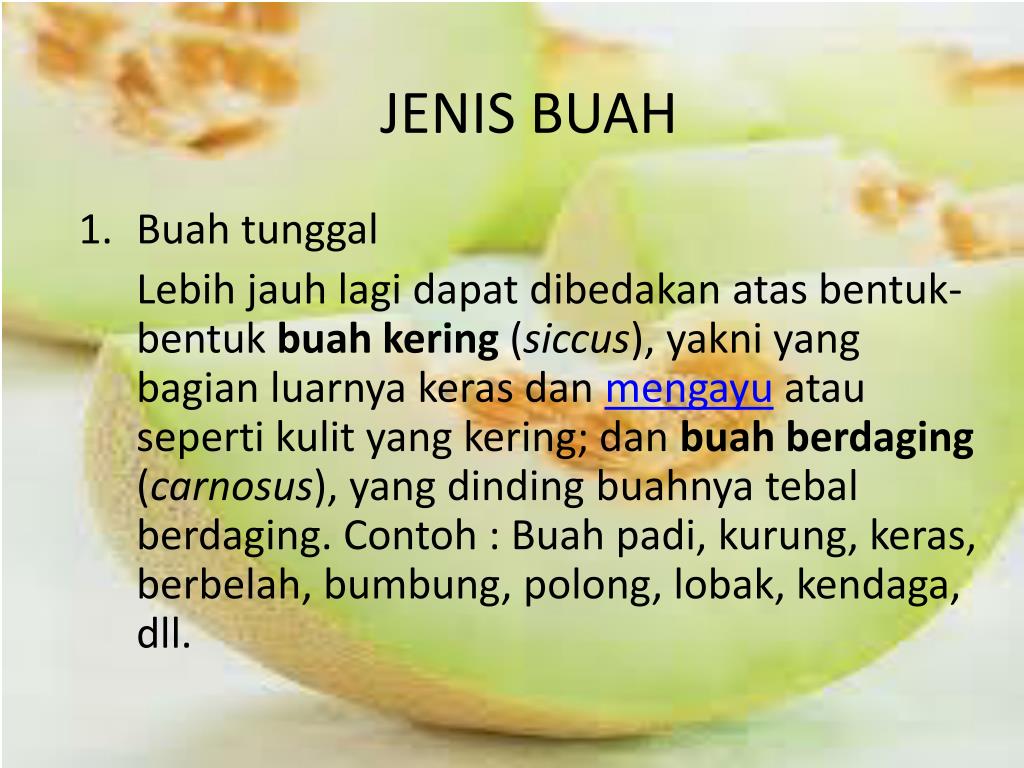 PPT - ASSALAMMU’ALAIKUM WR. WB BIOLOGI 3 B PowerPoint Presentation ...