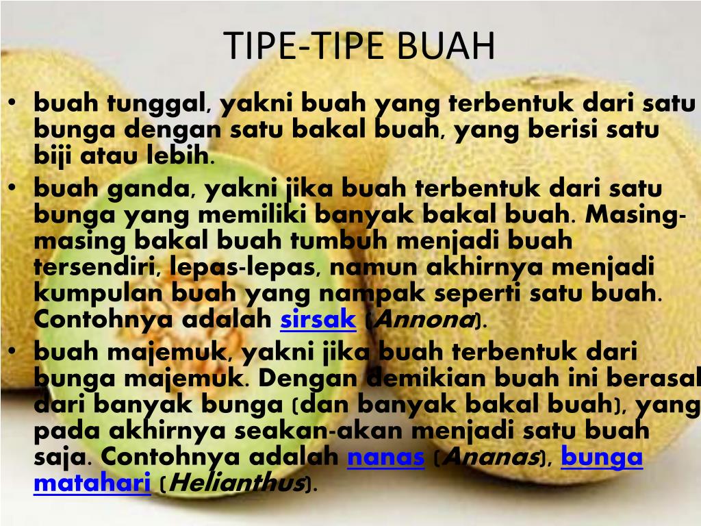 PPT - ASSALAMMU’ALAIKUM WR. WB BIOLOGI 3 B PowerPoint Presentation ...