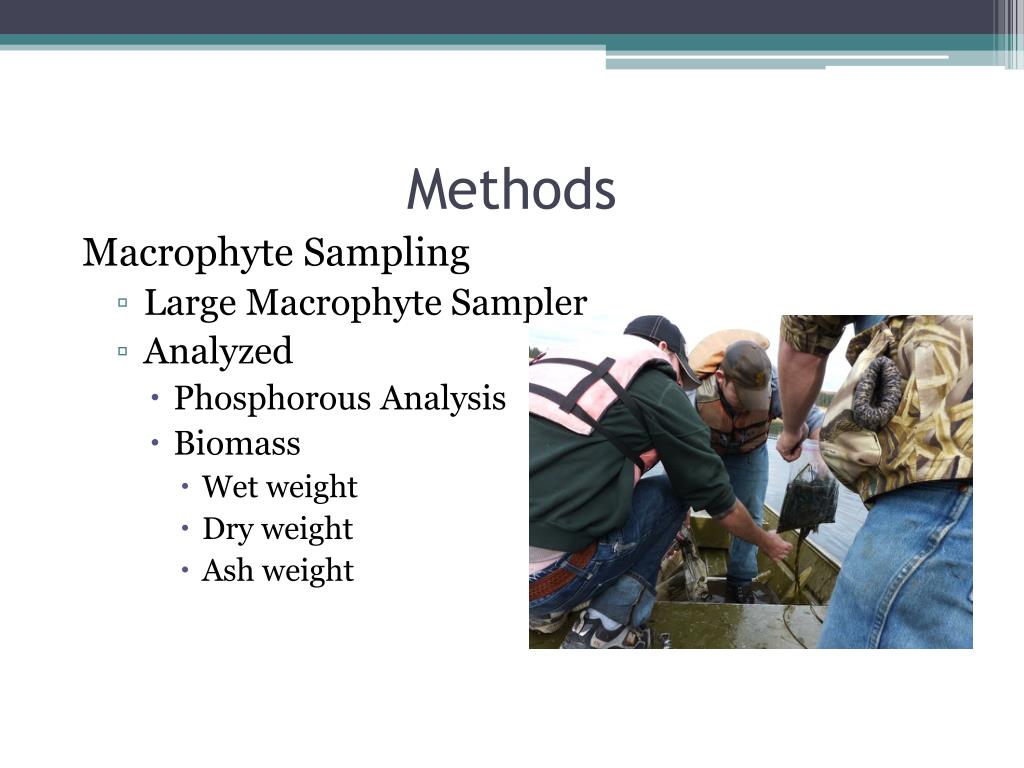 PPT - Heath Korell Jenna Davis Nick Porter Sean Taylor PowerPoint ...