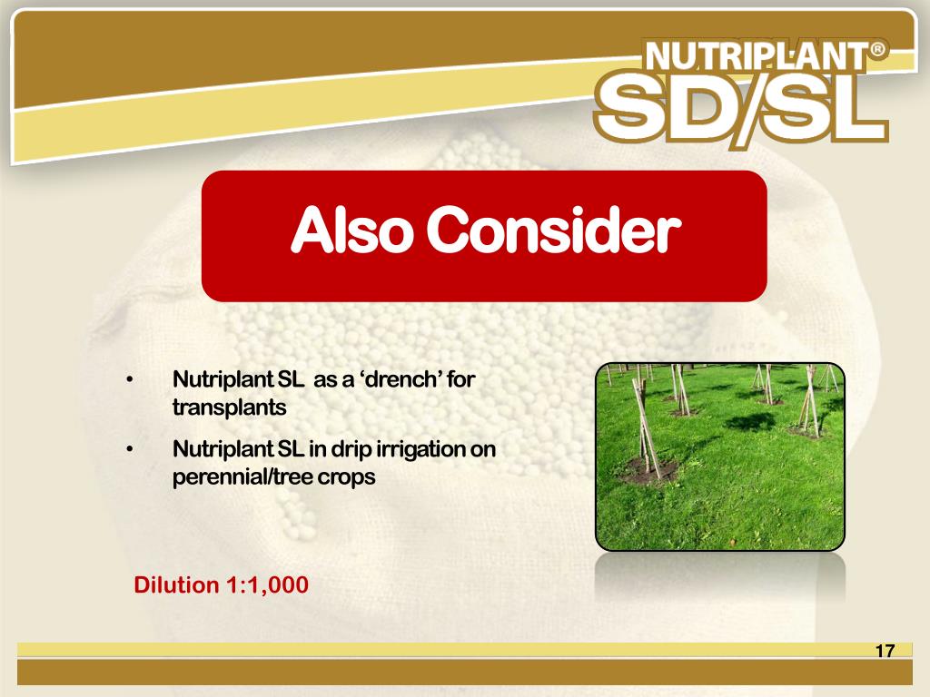 PPT - Nutriplant SD/SL seed treatment Nutriplant AG foliar nutrition ...