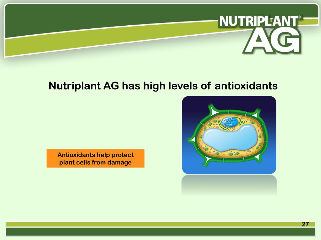 PPT - Nutriplant SD/SL seed treatment Nutriplant AG foliar nutrition ...