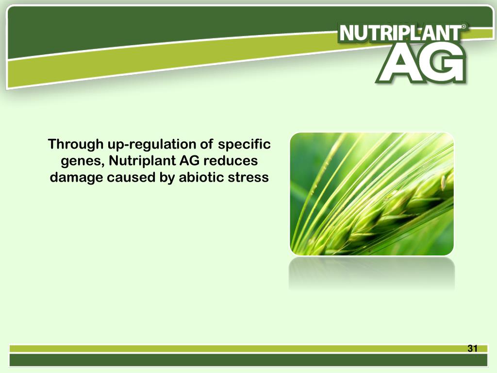 PPT - Nutriplant SD/SL seed treatment Nutriplant AG foliar nutrition ...