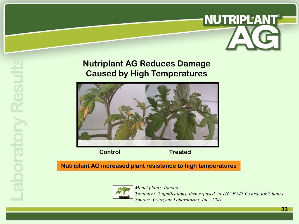 PPT - Nutriplant SD/SL seed treatment Nutriplant AG foliar nutrition ...