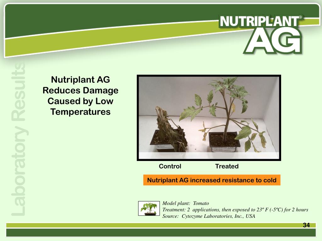 PPT - Nutriplant SD/SL seed treatment Nutriplant AG foliar nutrition ...