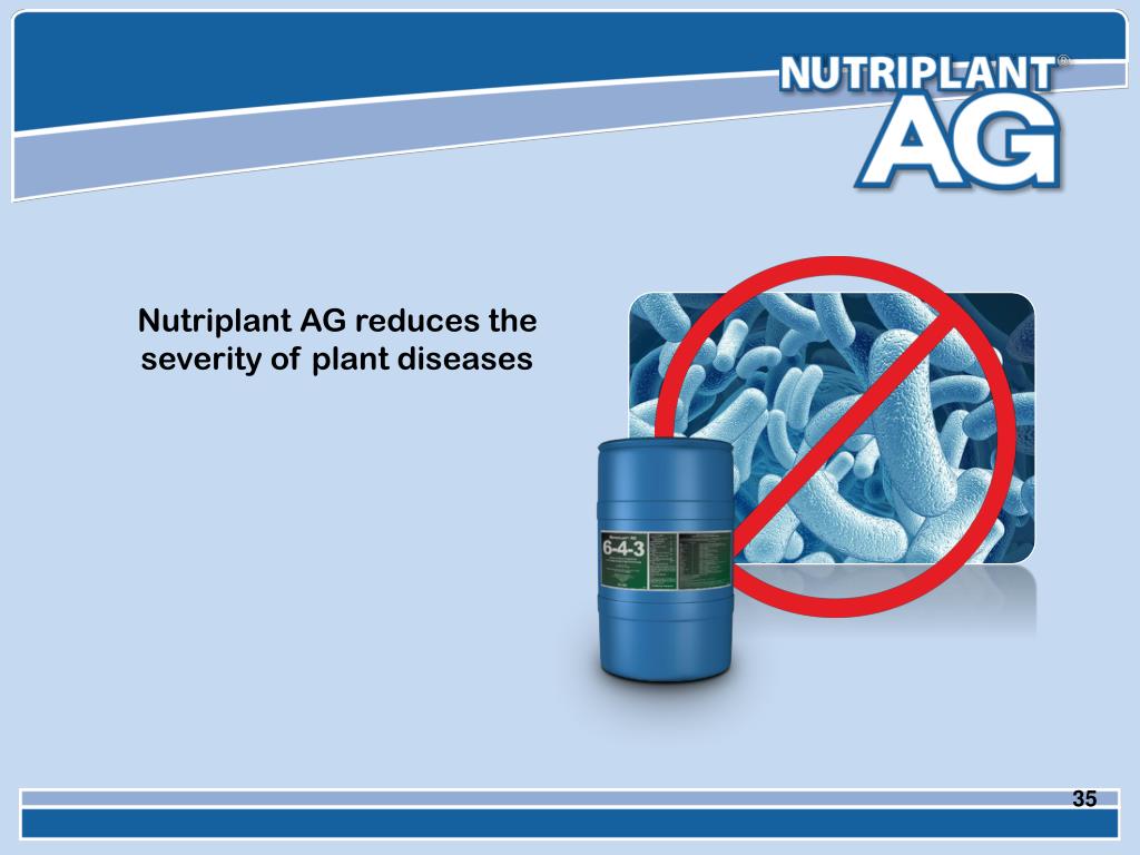 PPT - Nutriplant SD/SL seed treatment Nutriplant AG foliar nutrition ...