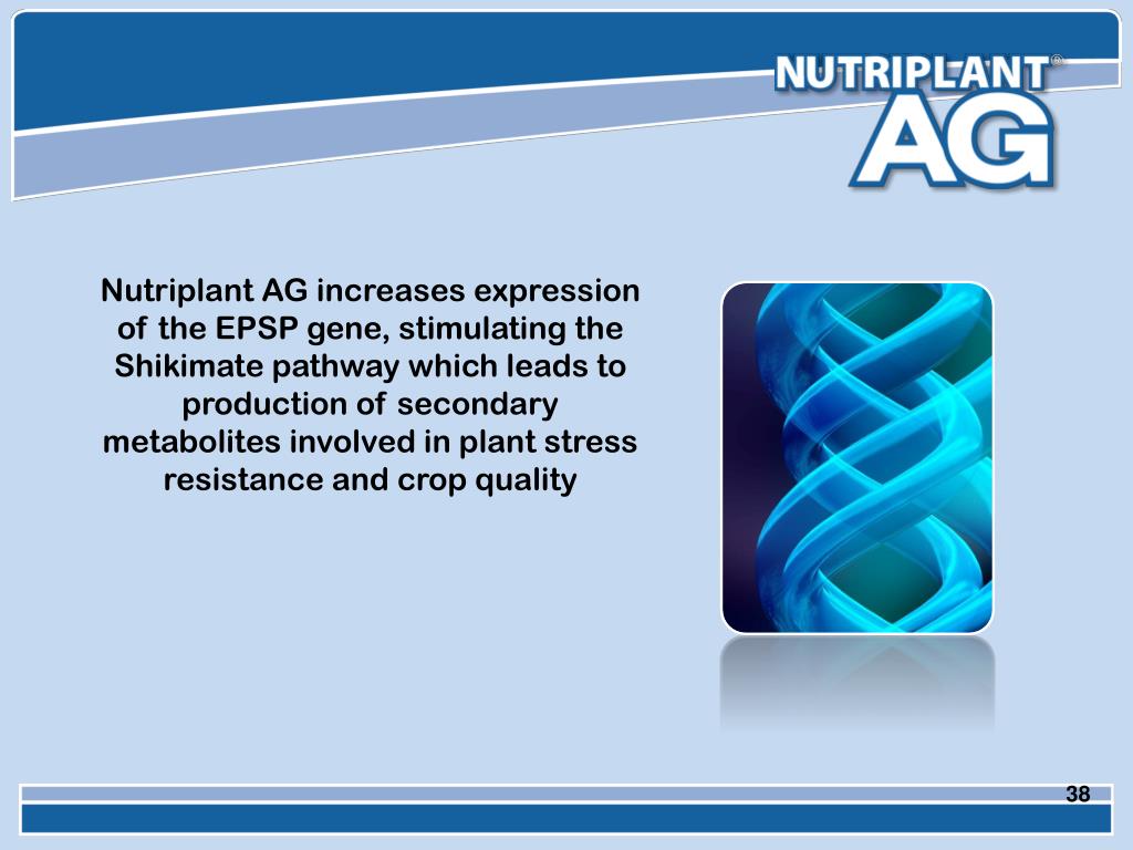 PPT - Nutriplant SD/SL seed treatment Nutriplant AG foliar nutrition ...