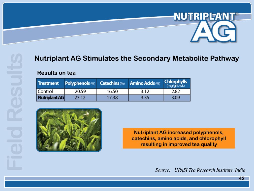 PPT - Nutriplant SD/SL seed treatment Nutriplant AG foliar nutrition ...