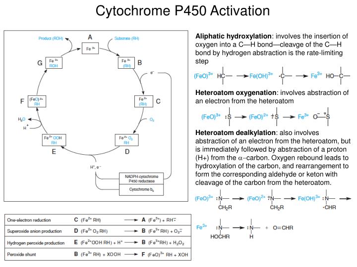 PPT - NST110: Advanced Toxicology PowerPoint Presentation - ID:1917181
