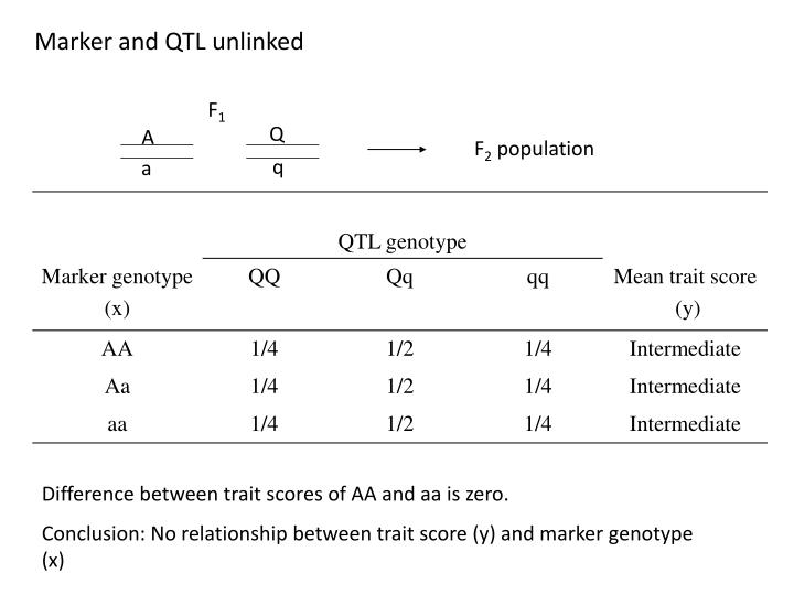 PPT - QTL Mapping PowerPoint Presentation - ID:1917240