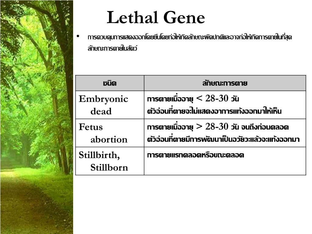 PPT - Basic Mendelian genetics applied to livestock PowerPoint ...