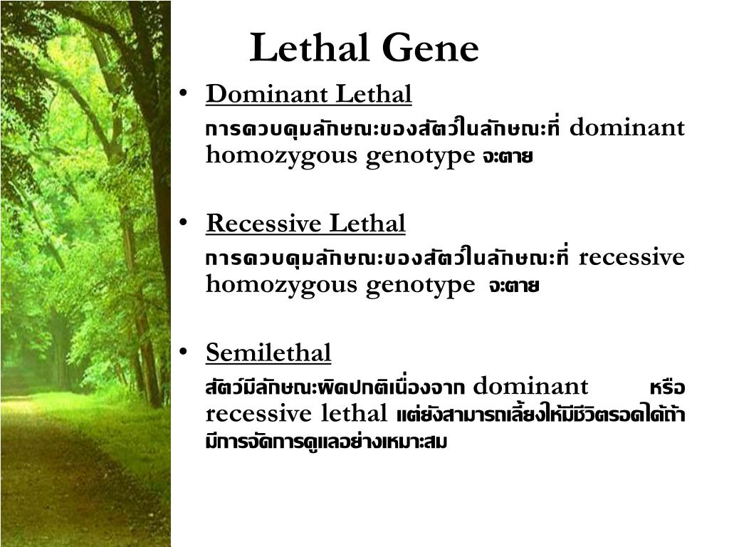 PPT - Basic Mendelian genetics applied to livestock PowerPoint ...