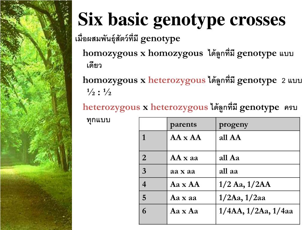 PPT - Basic Mendelian genetics applied to livestock PowerPoint ...