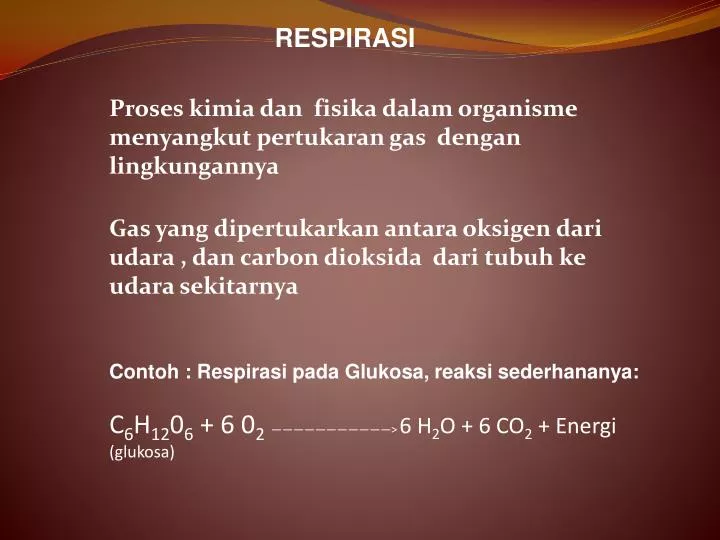 PPT - RESPIRASI PowerPoint Presentation, free download - ID:1917271