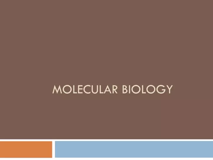 PPT - Molecular Biology PowerPoint Presentation, free download - ID:1917448