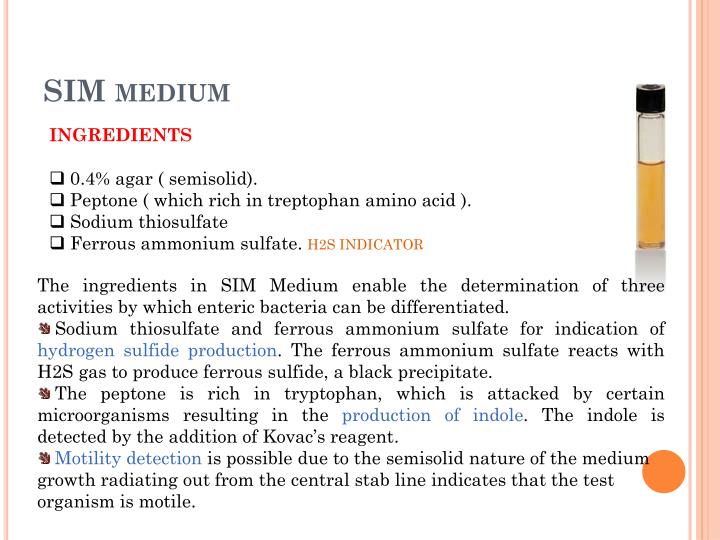 PPT - SINGLE MEDIA / MULTIPLE TESTS PowerPoint Presentation - ID:1917790