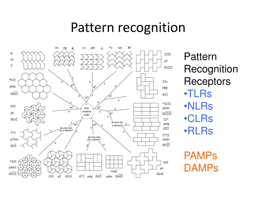 PPT - Immunology --- prevention and treatment of infectious diseases ...