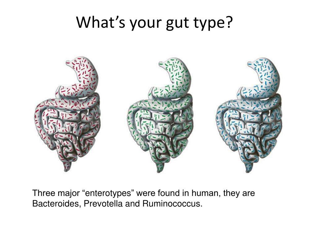 PPT - Immunology --- prevention and treatment of infectious diseases ...