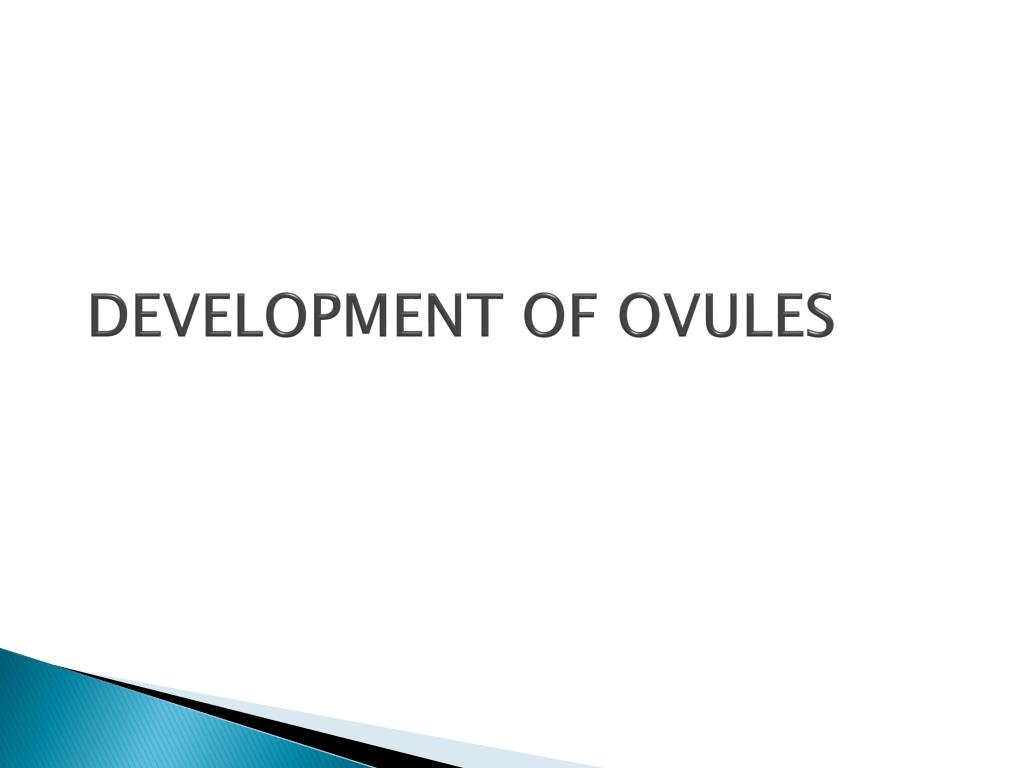 PPT - SEXUAL REPRODUCTION IN FLOWERING PLANTS PowerPoint Presentation ...