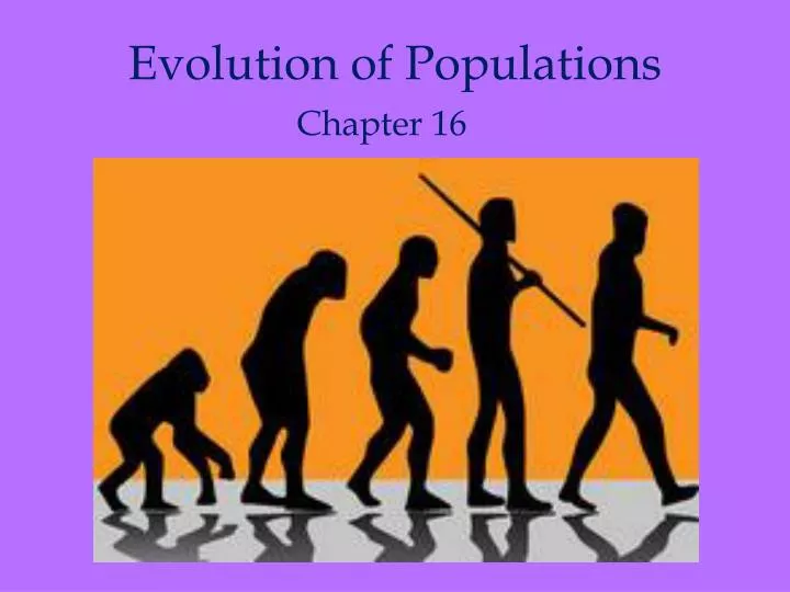 PPT - Evolution of Populations PowerPoint Presentation, free download ...