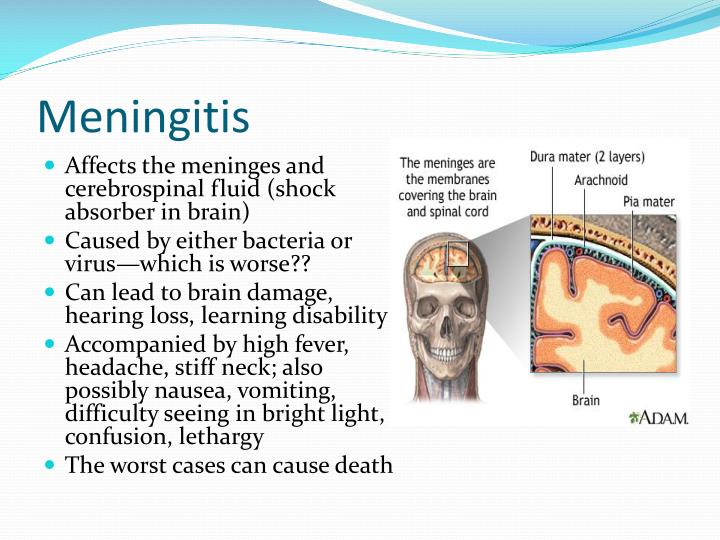 PPT - Neurological Diseases/Injuries/Disorders PowerPoint Presentation ...