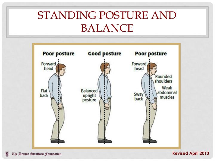 PPT - Body mechanics PowerPoint Presentation - ID:1919396