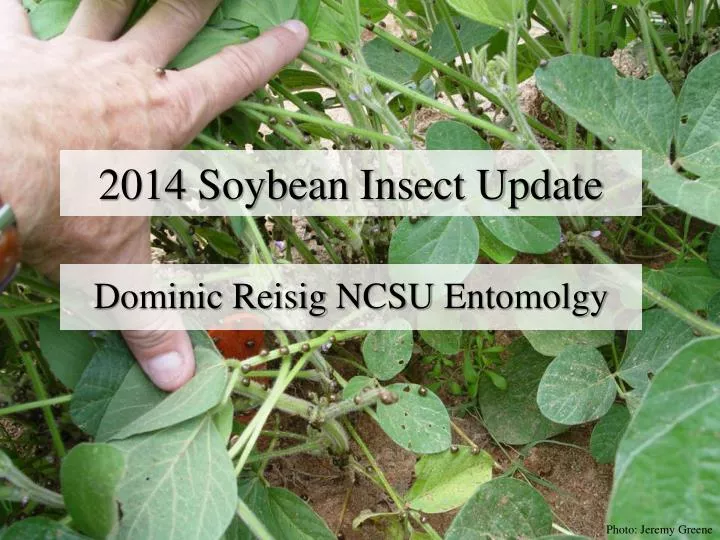 PPT - 2014 Soybean Insect Update PowerPoint Presentation, free download ...