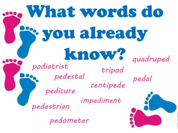 PPT - What words do you already know? PowerPoint Presentation, free ...