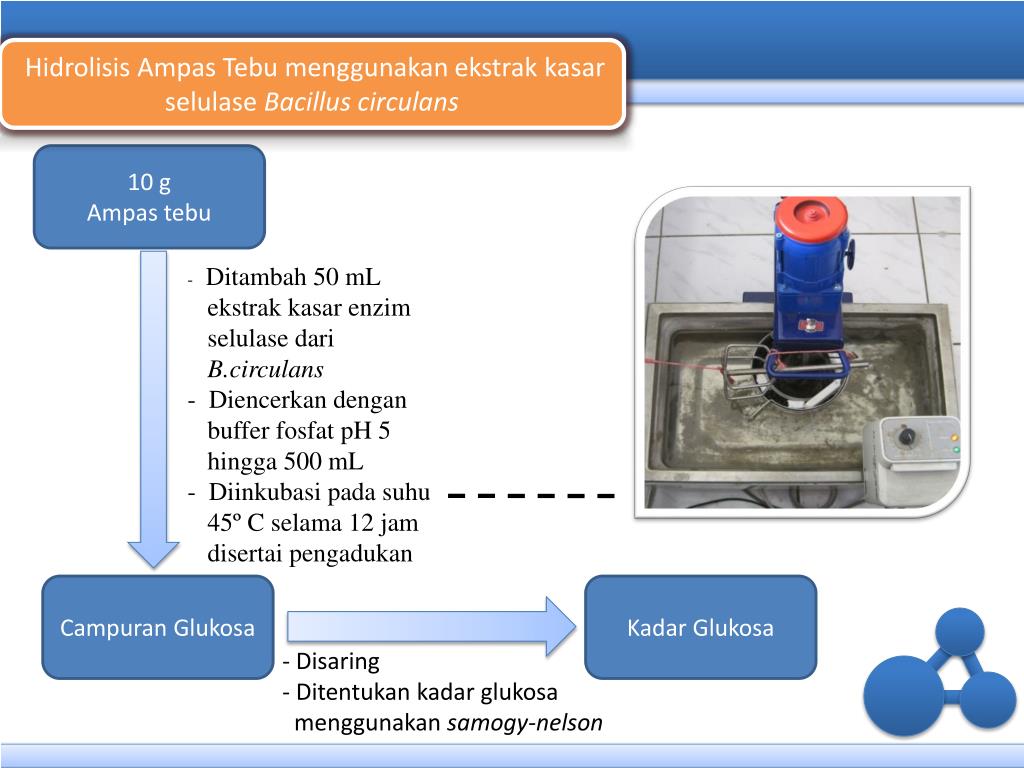 PPT - OPTIMASI FERMENTASI HASIL HIDROLISIS AMPAS TEBU MENJADI BIOETANOL ...